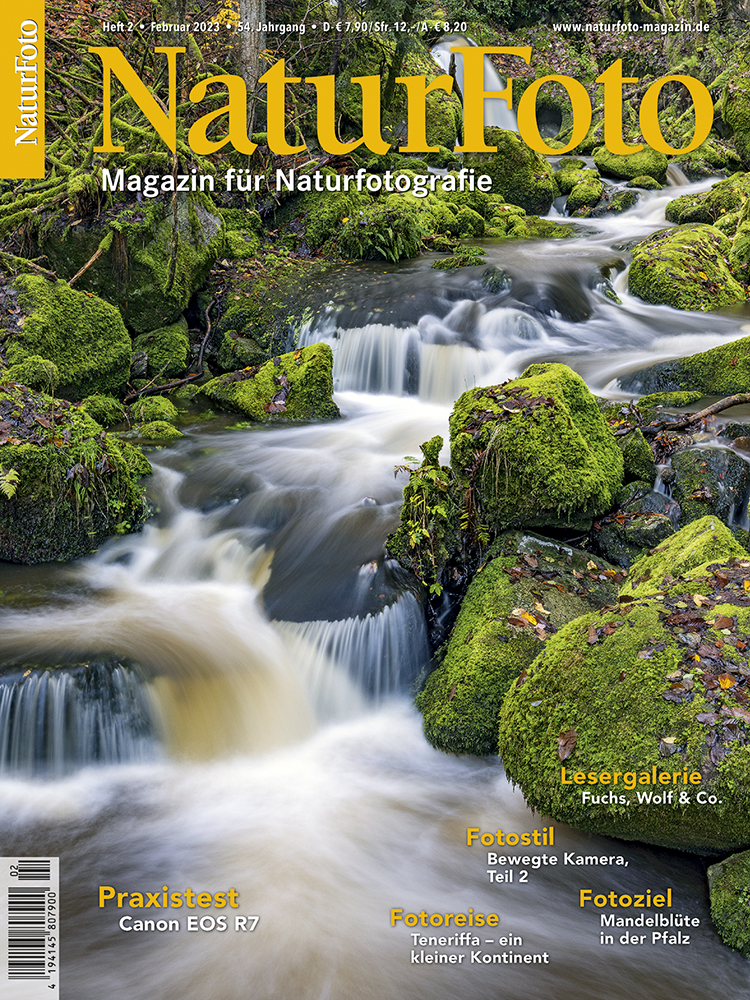 NaturFoto 2/2023 | NaturFoto | Magazine | Tecklenborg Verlag