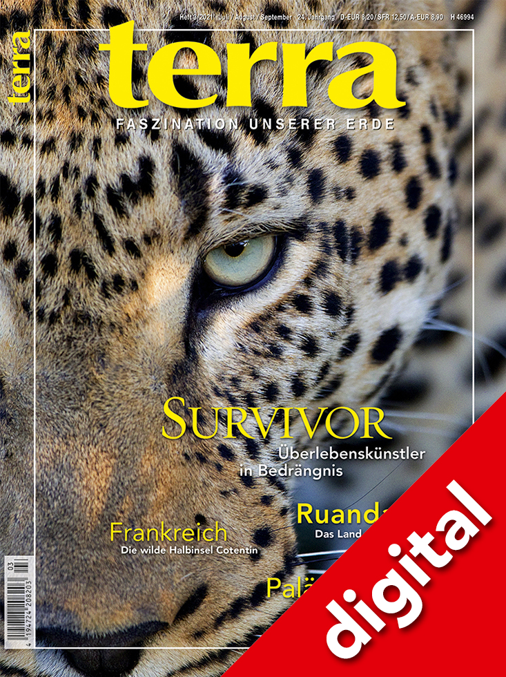 terra 3/2021 digital | terra (digital) | Magazine | Tecklenborg Verlag