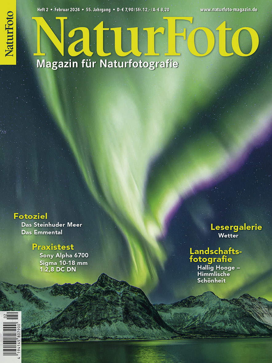 NaturFoto 2/2024 | NaturFoto | Magazine | Tecklenborg Verlag