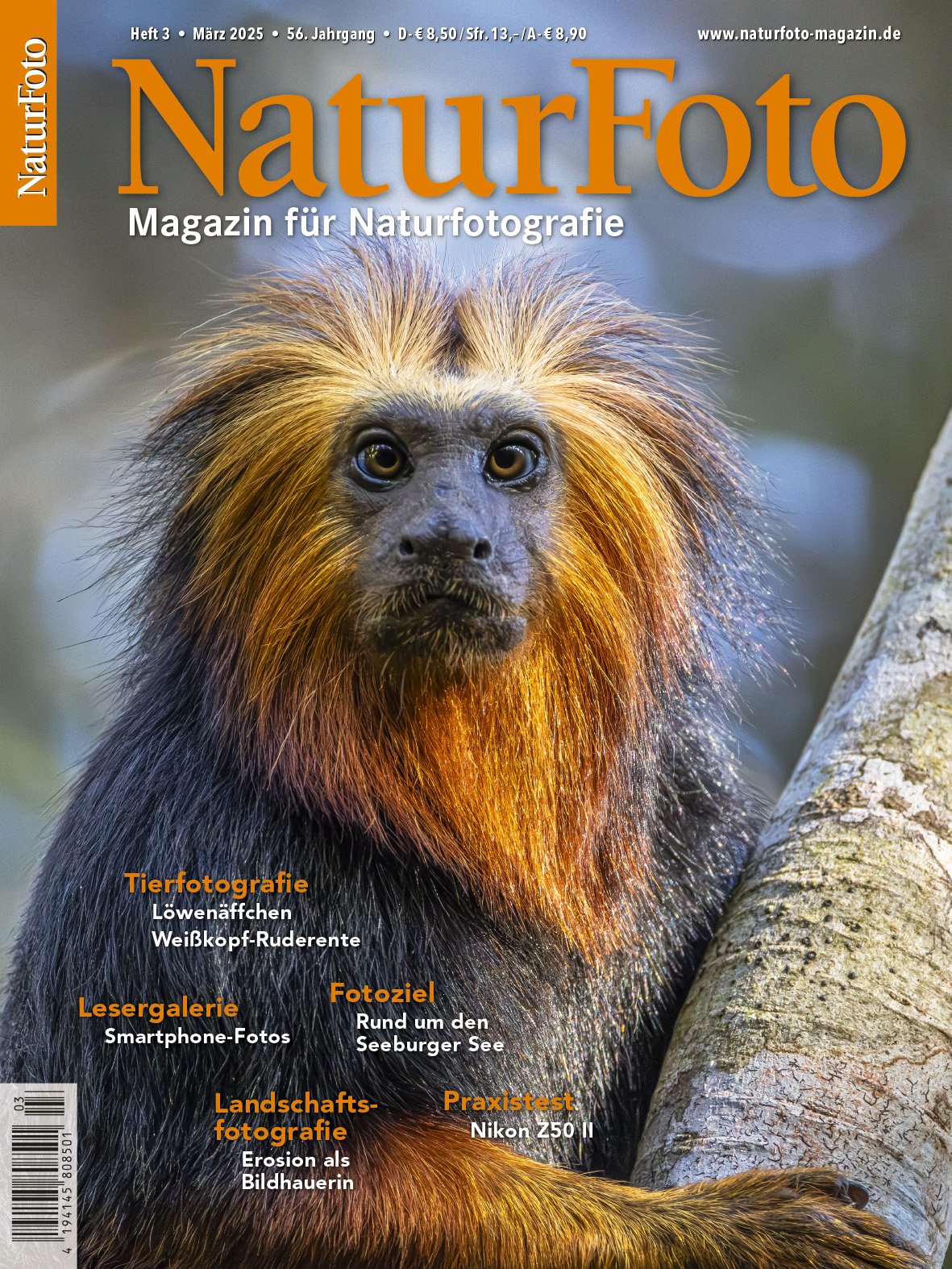 NaturFoto 3/2025 | NaturFoto | Magazine | Tecklenborg Verlag