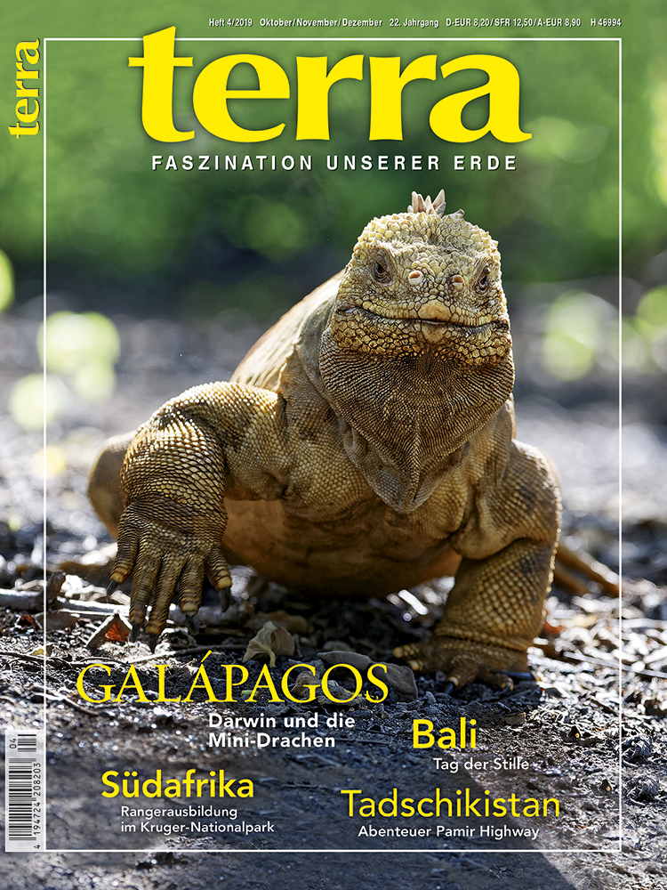 terra 4/2019 | terra | Magazine | Tecklenborg Verlag